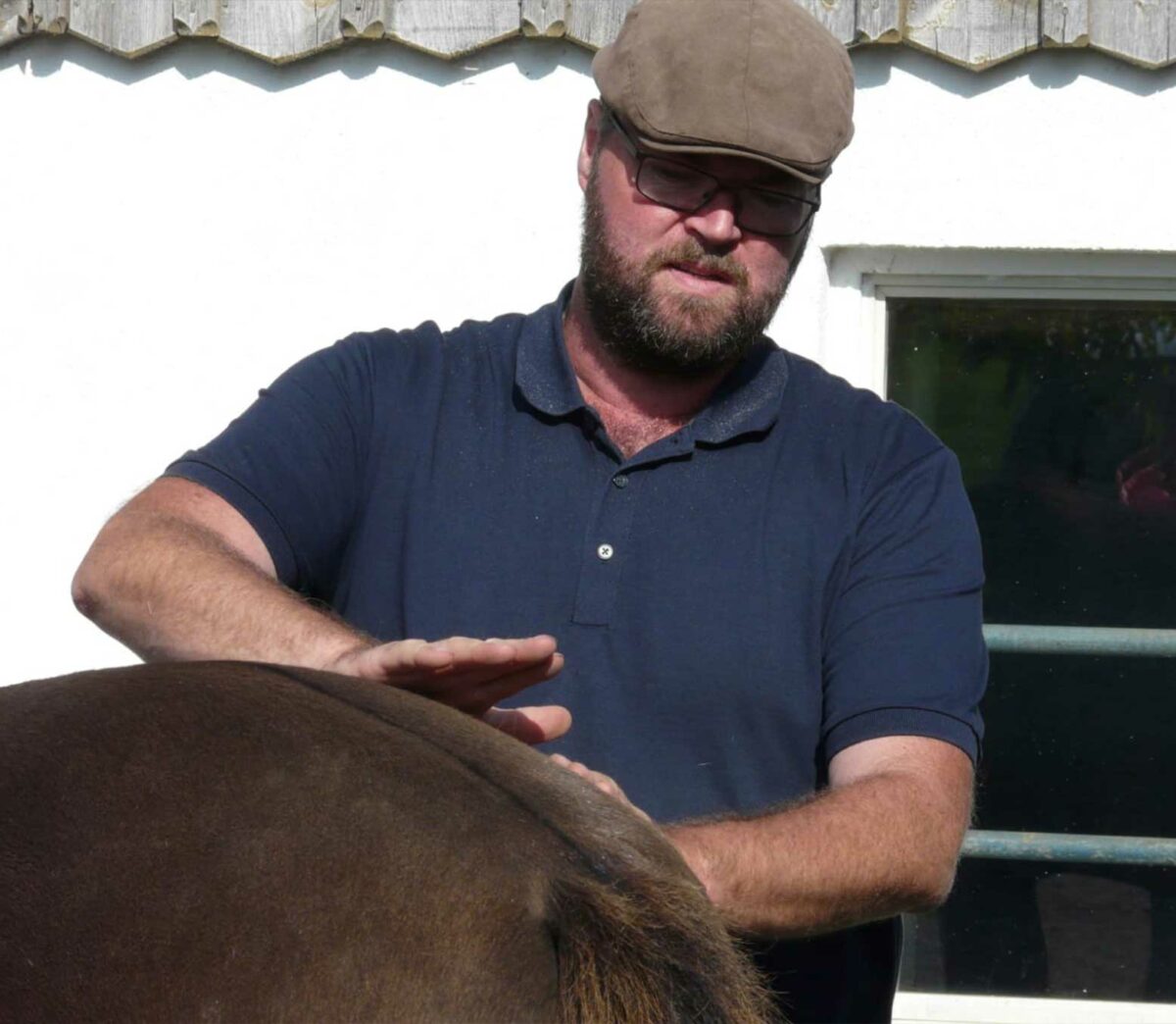 Upcoming Ver­an­stal­­tungen • Wildrosenhof Alt Sammit